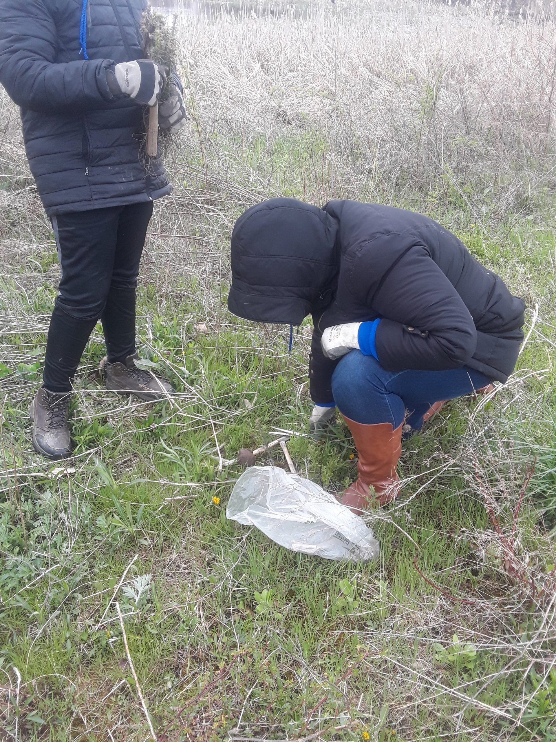 Camp Dittmer Sapling Planting – Troop 5014