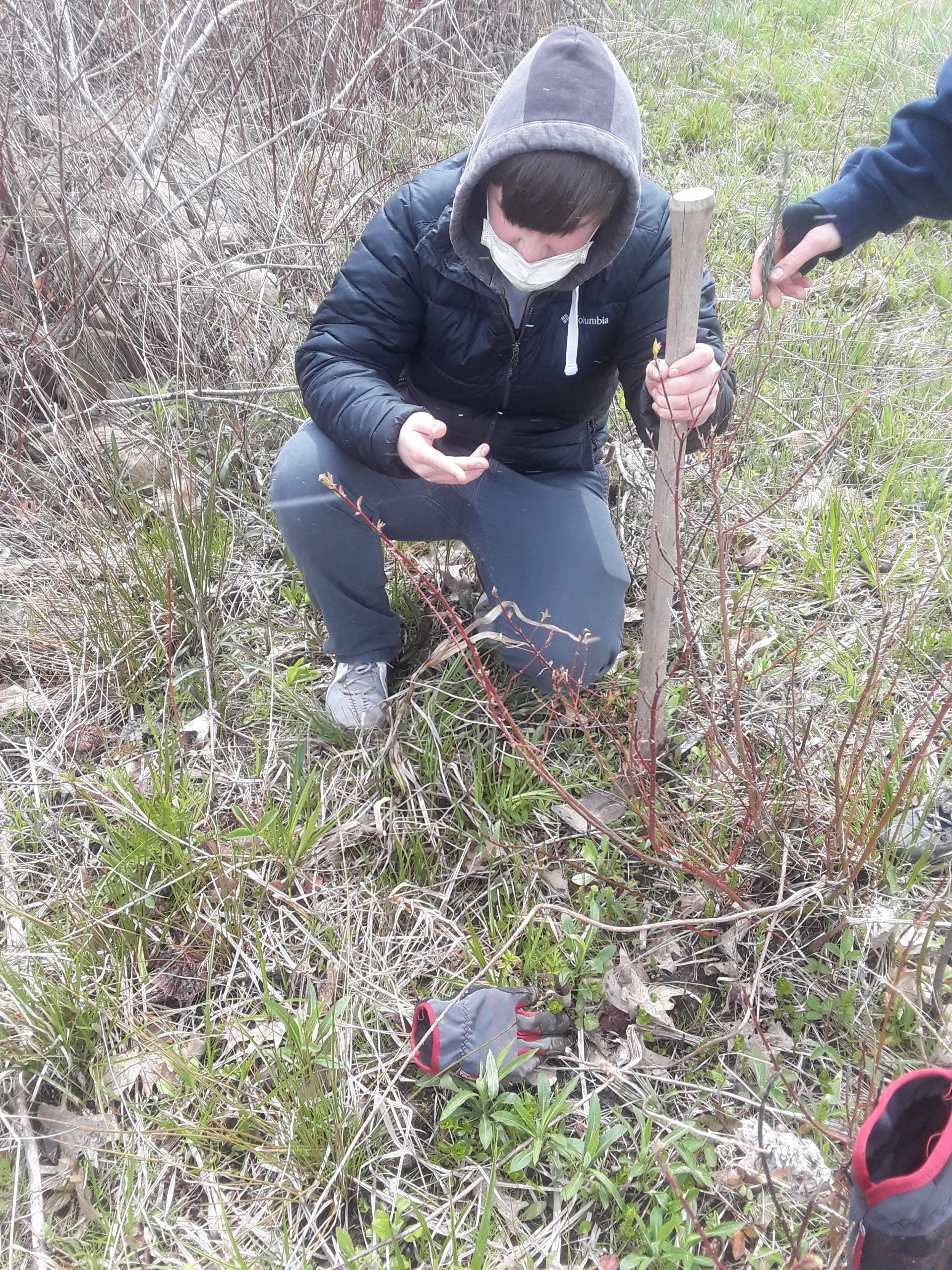 Camp Dittmer Sapling Planting – Troop 5014